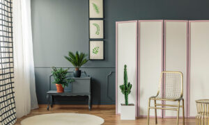 10 Creative Room Divider Ideas For Your Home