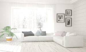 Captivating White Sofa Design Inspirations