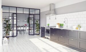 Kitchen Partition Design Ideas for Smart and Open Indian Layouts