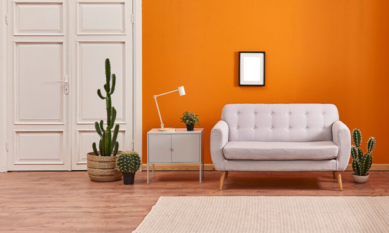 Best Colour Combination For Hall | Design Cafe