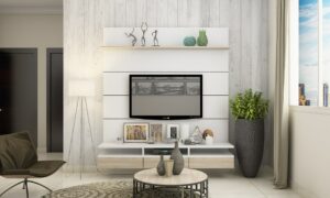 Stylish Living Room TV Panel Designs | DesignCafe