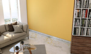 5 Easy Steps On How To Clean Distemper From Floor