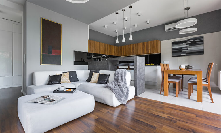 Open Kitchen Designs with Living Room for Indian Homes