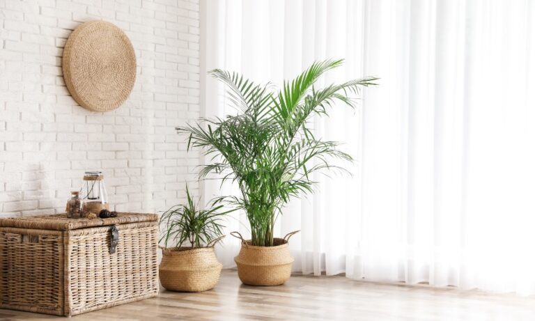 Rustic Stone Wall Cladding Ideas for Stylish Indian Home Interiors