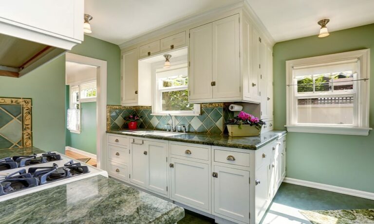 8 Solid Kitchen Granite Countertop Colors | Design Cafe