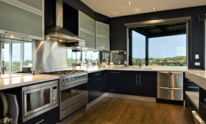 Stainless Steel Kitchen Cabinets: Durability Meets Modern Style