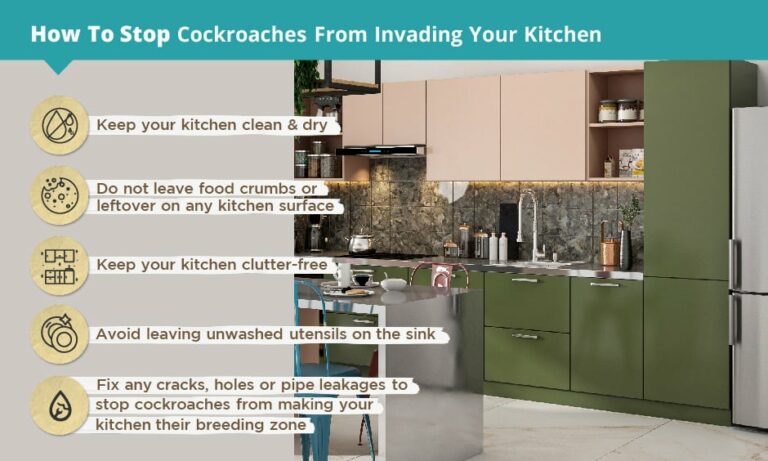 How To Get Rid Of Cockroaches In The Kitchen | Design Cafe