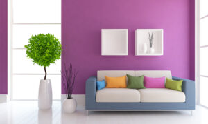 Purple Wall Colour Combinations for Modern Homes