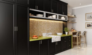 Straight Modular Kitchen Design Ideas | DesignCafe