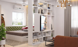 11 TV Room Ideas for Limited Spaces | DesignCafe