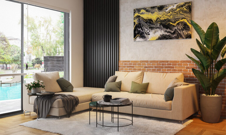 Drawing Room Colour Combination Ideas for a Stylish Space