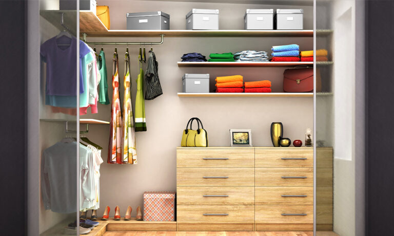 Transforming a Small Walk-in Closet into a Stylish Haven