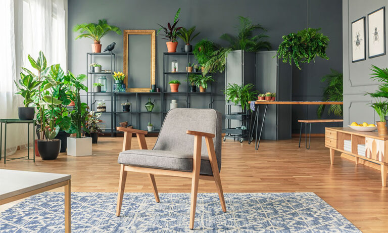Design an Eco-Friendly Living Room That’s Packed with Style